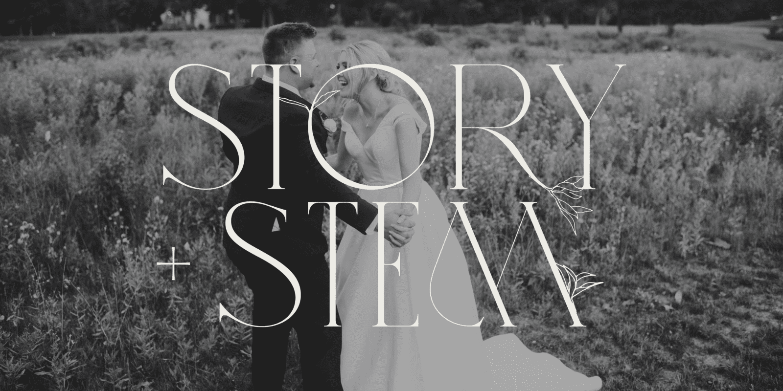 Story + Stem - wave-creativestudio.com