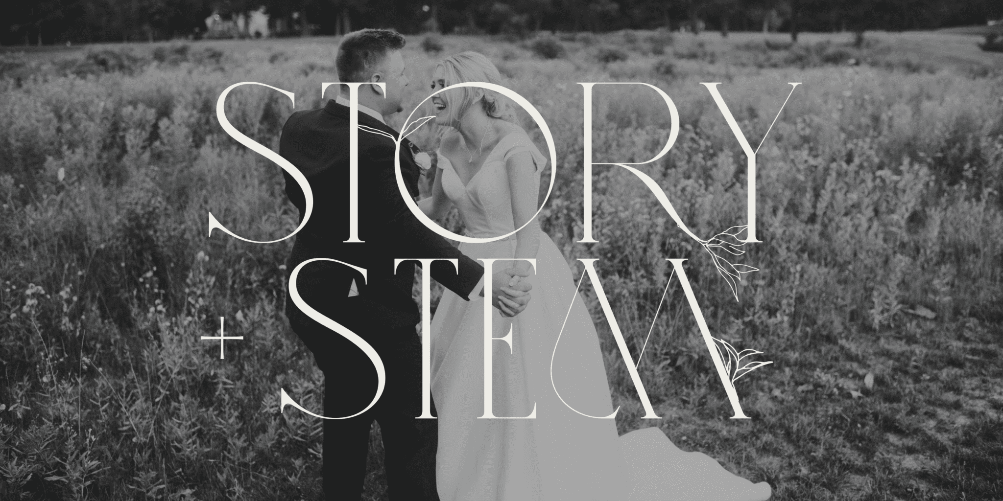 Story + Stem - wave-creativestudio.com